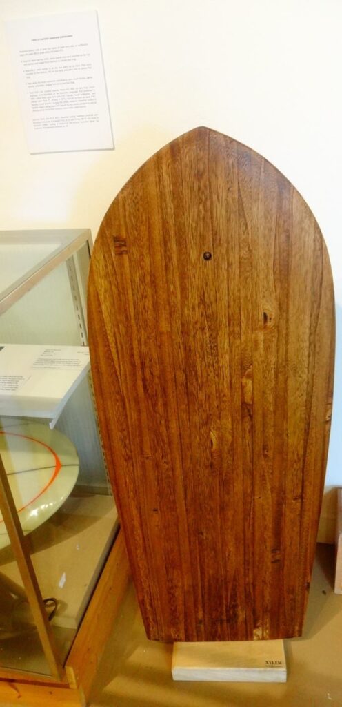 Paipo: Prone to Ride - Florida Surf Museum