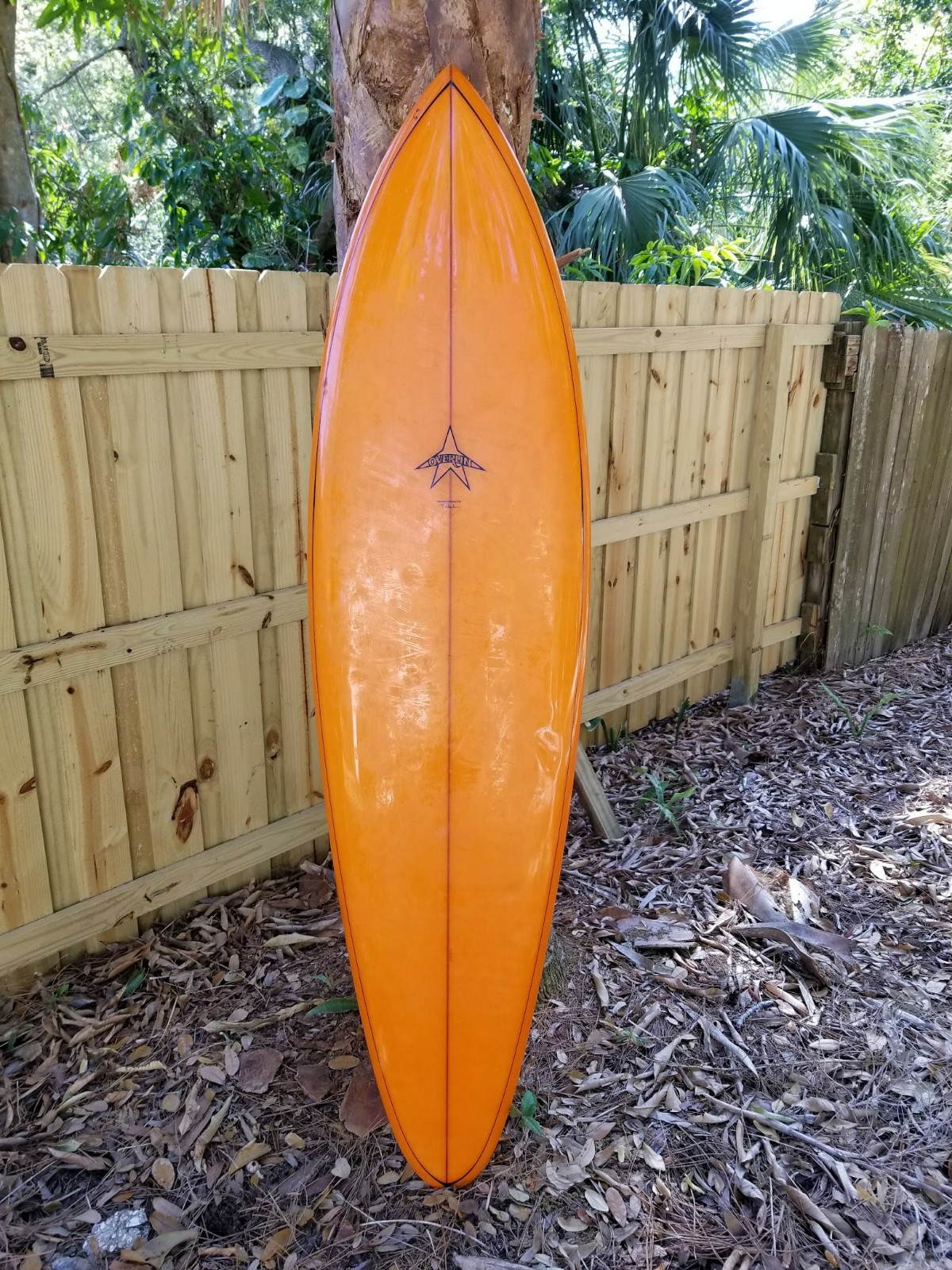 Mint Overlin Surfboard Donation Has Special Meaning - Florida Surf Museum