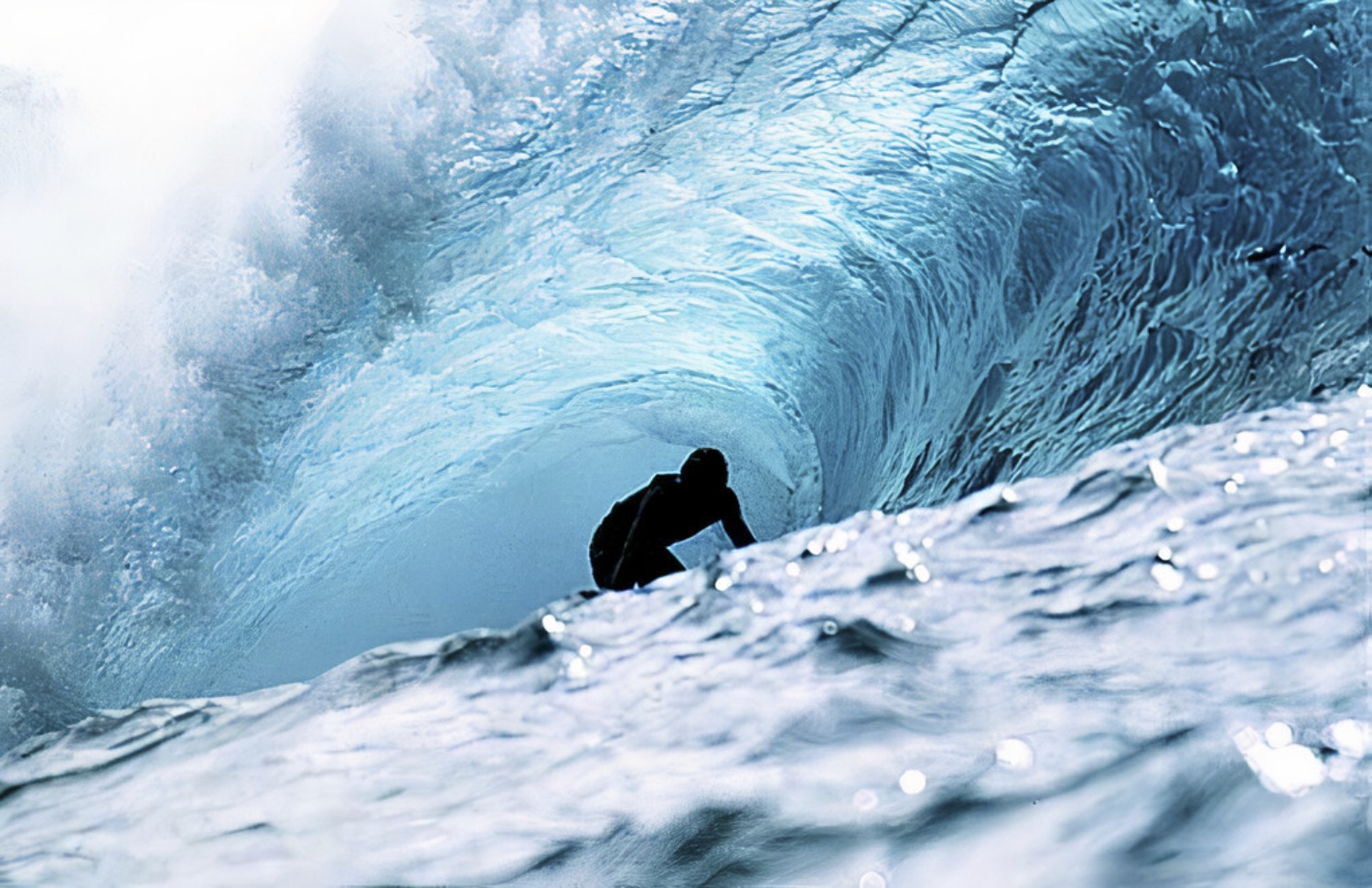 Florida's Hall of Famers-Jeff Crawford - Florida Surf Museum